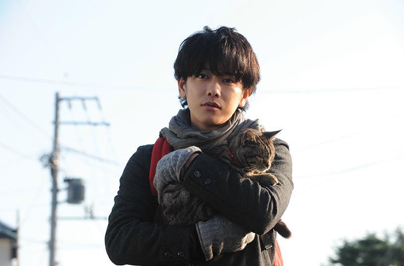 Japan's Toho brings 'Cats' to Filmart | News | Screen