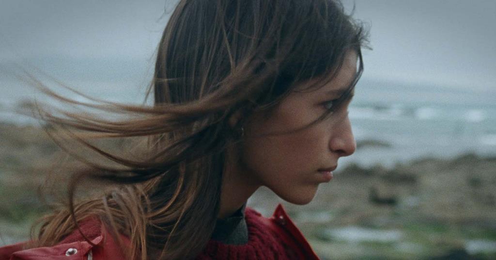 Catalan films set to make a splash at this year's Berlinale | Promotion ...