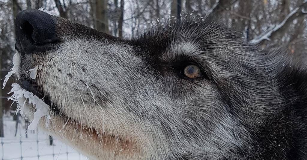 Richard Johns and E Elias Merhige team for Promethean Pictures and ...