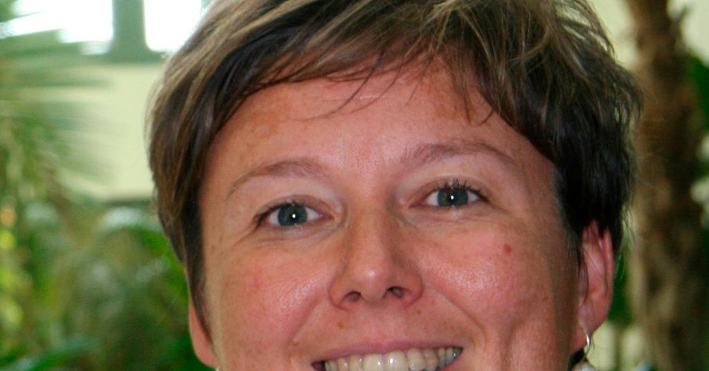 “European animation is a vibrant industry,” says Cartoon Movie’s Annick ...