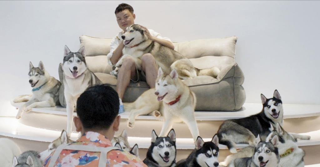 ‘The Dating Game’: Sundance Review | Reviews | Screen