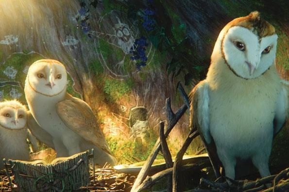Legend Of The Guardians: The Owls Of Ga'Hoole | Reviews | Screen