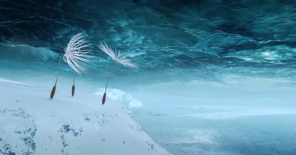 ‘Dandelion’s Odyssey’ review: Artistic animation takes a plant’s eye ...
