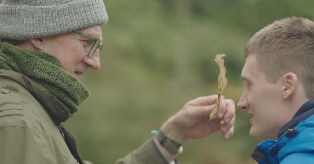 ‘Forever Is Now’ review: Immersive, balanced portrait of Ireland Green ...