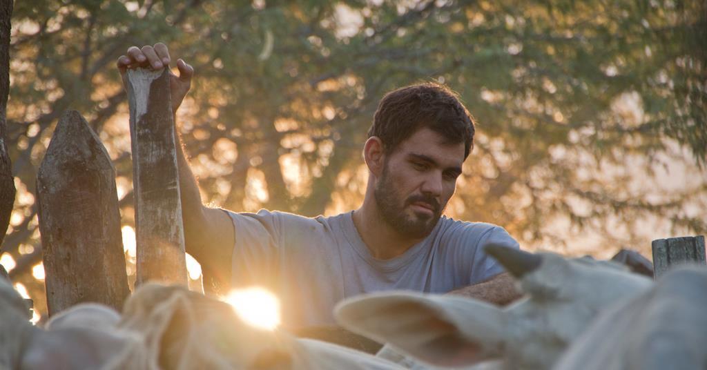 'Neon Bull': Review | Reviews | Screen