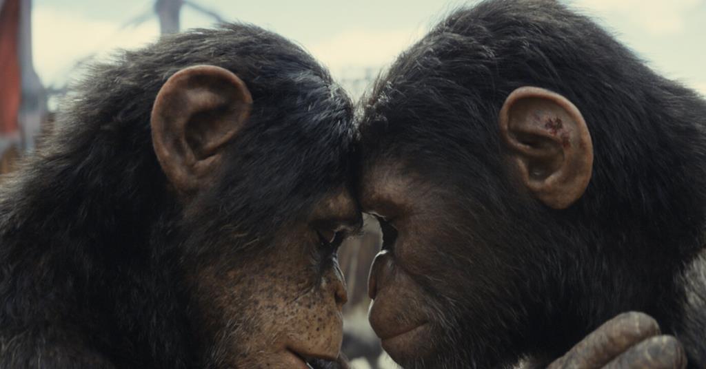 ‘Kingdom Of The Planet Of The Apes’ tops UK and Ireland box office with ...