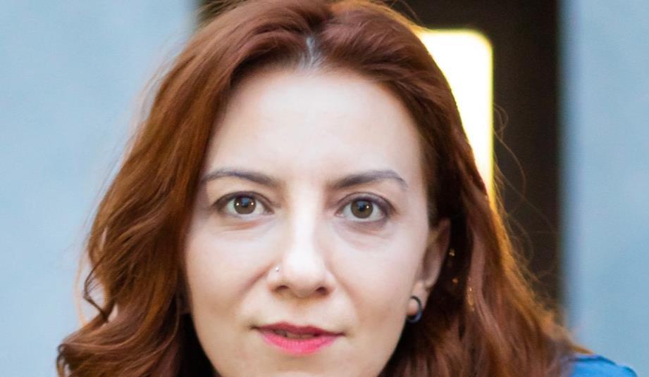 Four producers at Transilvania Pitch Stop unveil feature projects ...