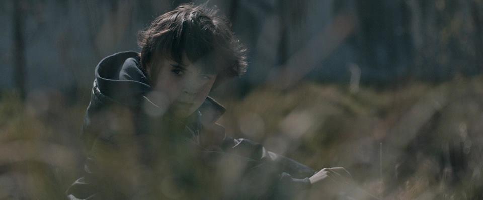 Blood Cells | Reviews | Screen