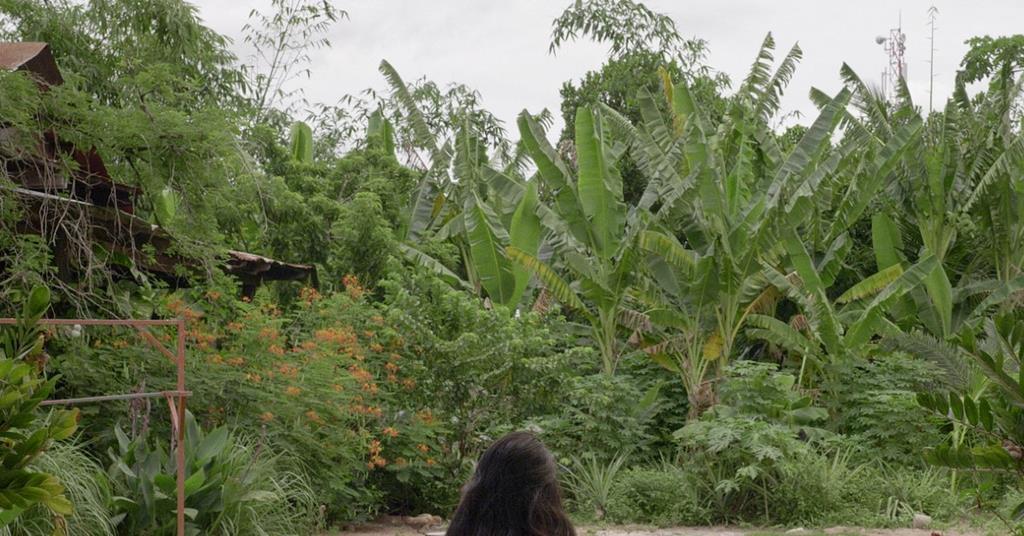 ‘Eskape’: IDFA Review | Reviews | Screen
