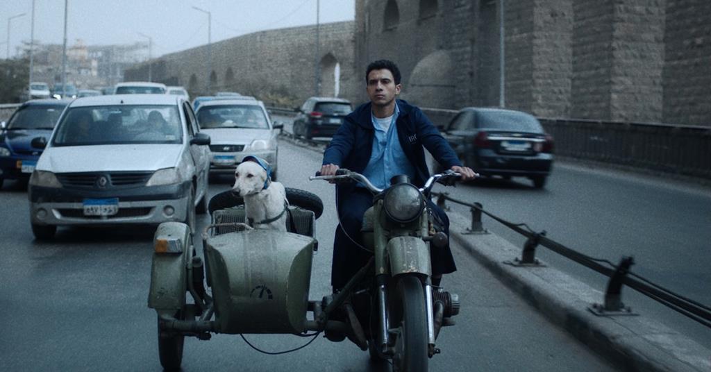 Egyptian box office set to surpass pre-Covid levels in 2025 | News | Screen