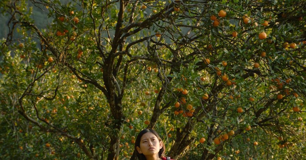 ‘Shape Of Momo’ review: Stirring, authentic drama sees a woman return to her Indian home village ...