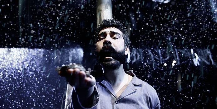 Rhino Season | Reviews | Screen