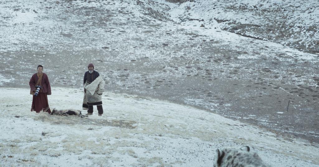 China’s Rediance boards Venice-bound ‘Snow Leopard’ by late Pema Tseden (exclusive) | News | Screen