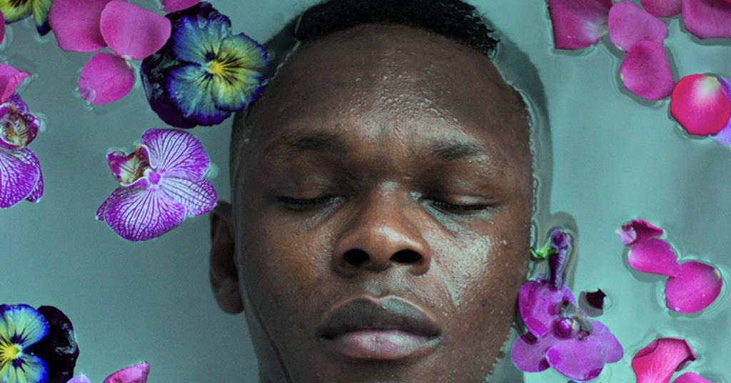 Mister Smith Entertainment to handle sales on Tribeca MMA documentary ...