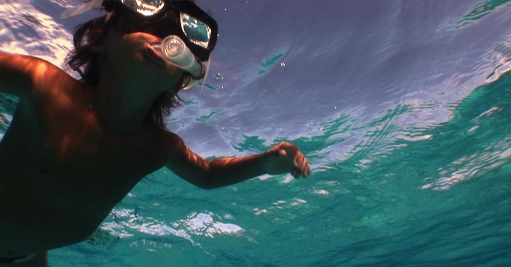 Alamar | Reviews | Screen