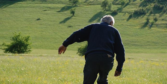 Krivina | Reviews | Screen