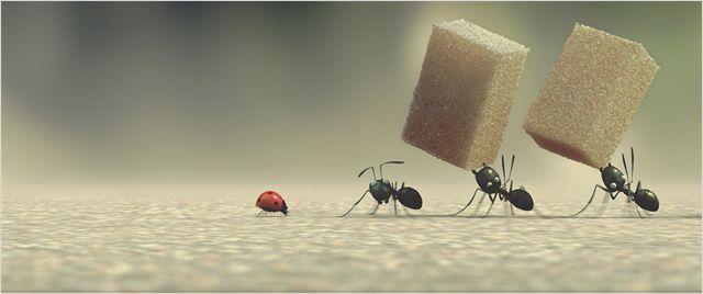 Minuscule: The Valley Of The Lost Ants | Reviews | Screen