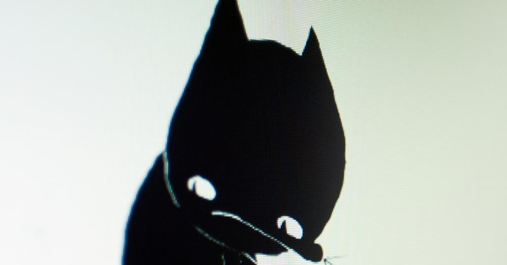 Edinburgh’s top prize goes to ‘A Cat Called Dom’ | News | Screen