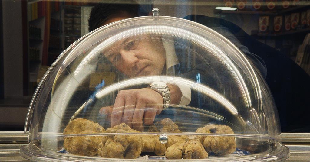 ‘The Truffle Hunters’ filmmakers on unearthing a secret world ...