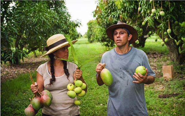 The Fruit Hunters | Reviews | Screen