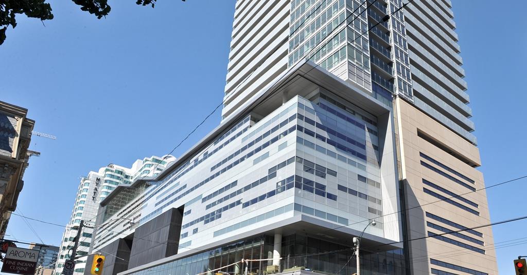 TIFF unveils strategic plan | News | Screen