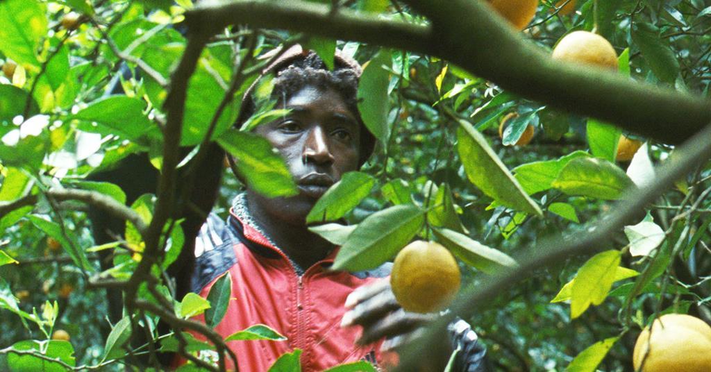 Venice: ‘Mediterranea’ still hunting domestic deal | News | Screen