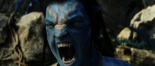Cameron unleashes Avatar campaign | News | Screen