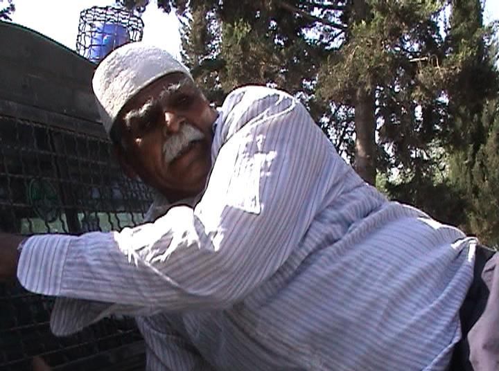 5 Broken Cameras takes top prize at Cinema Eye awards | News | Screen