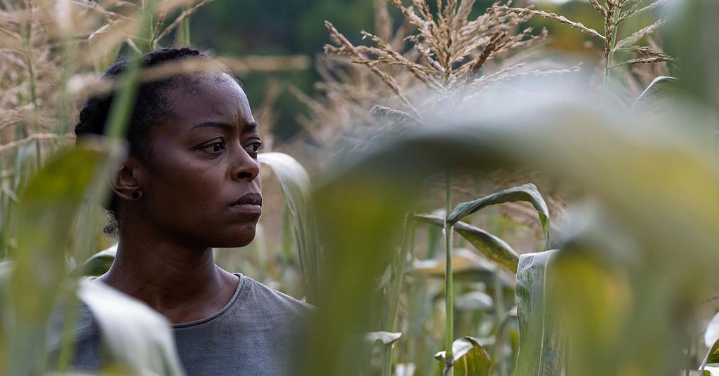 AFM 2024: the buzz titles from the Americas | Features | Screen