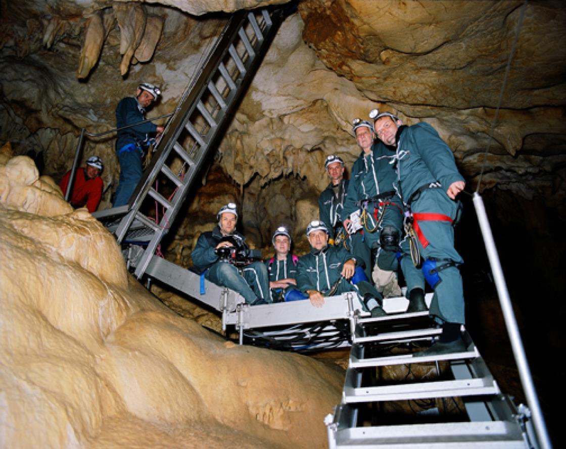 Cave Of Forgotten Dreams | Reviews | Screen