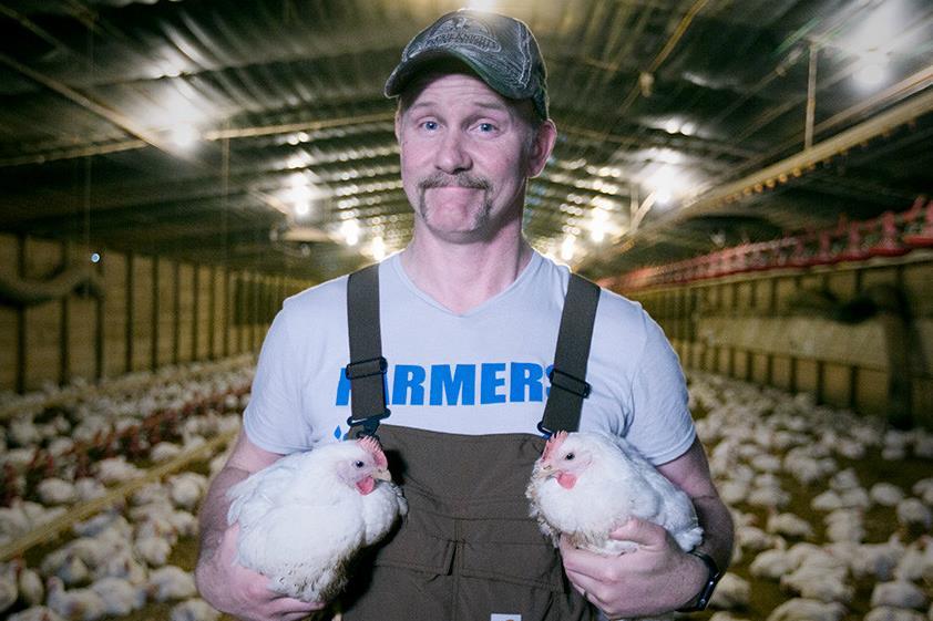 'Super Size Me 2: Holy Chicken!': Review | Reviews | Screen
