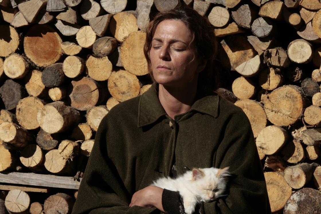 The Wall | Reviews | Screen