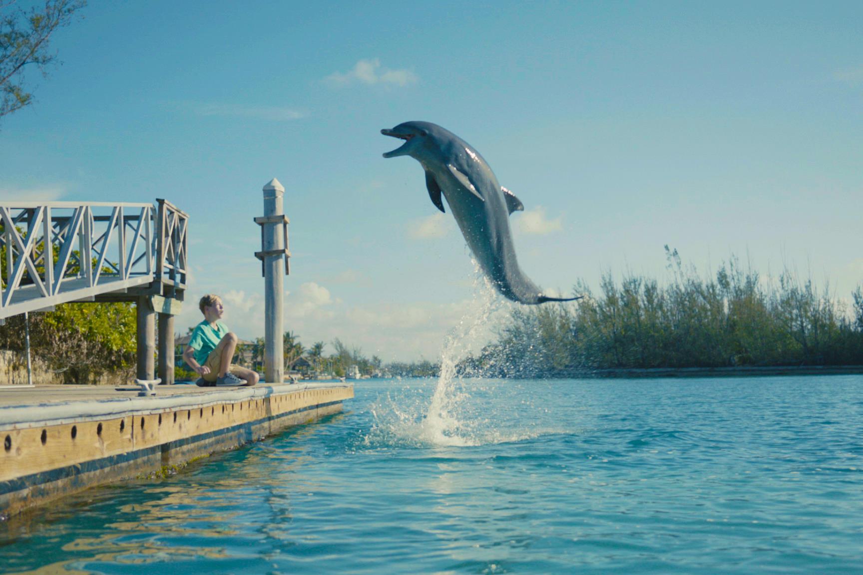 Epic Pictures racks up deals on swimming story 'Dolphin Kick ...