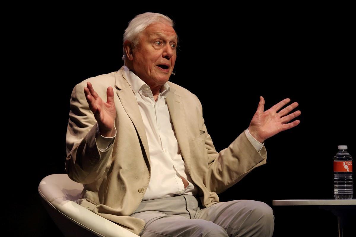 David Attenborough: BBC has an “incomparable responsibility” | News ...