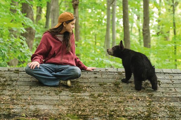 Pathe to launch sales at EFM on family adventure ‘Melody For A Bear ...