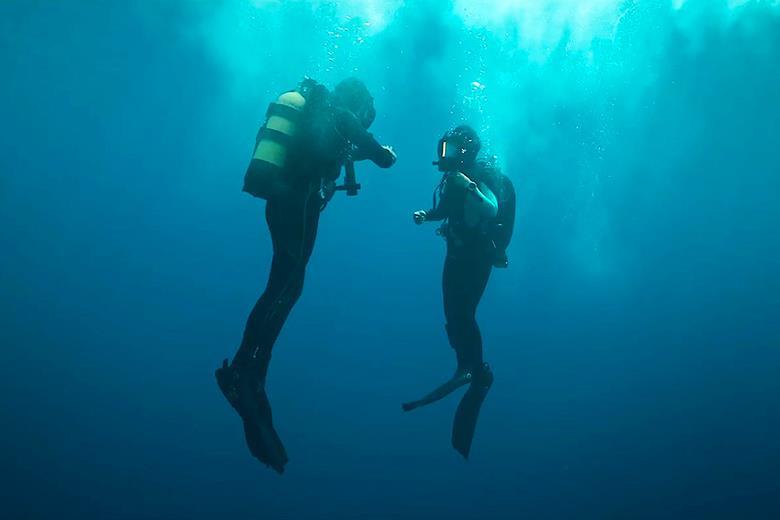 ‘The Dive’: Munich Review | Reviews | Screen