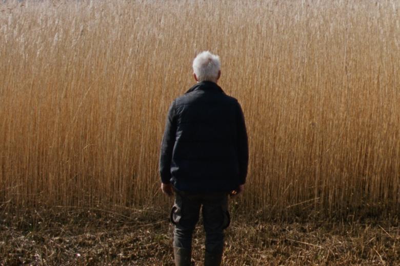 ‘Reedland’ review: A violent crime rocks a rural Dutch community ...