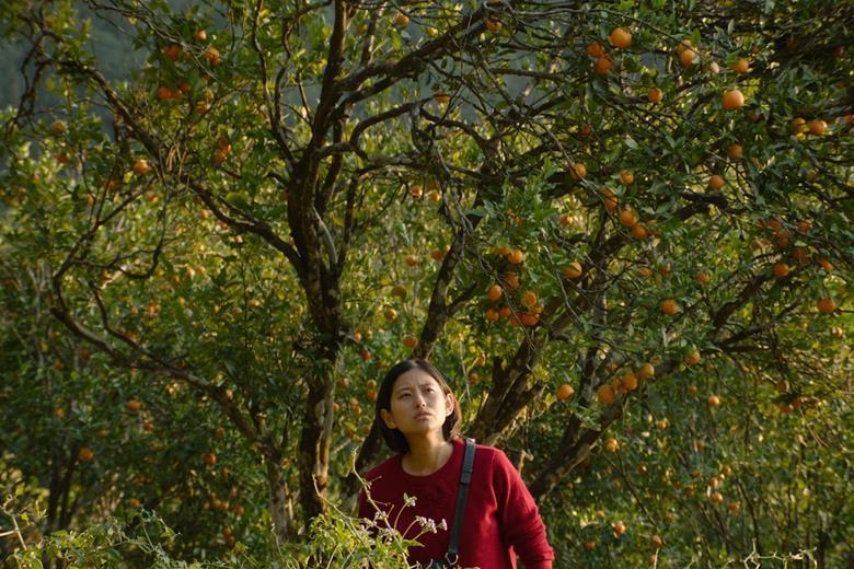 ‘Shape Of Momo’ review: Stirring, authentic drama sees a woman return ...