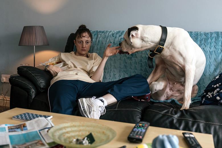 ‘Dragonfly’ review: Andrea Riseborough and Brenda Blethyn headline ...