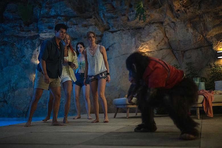 ‘Primate’ review: A killer monkey is on the loose in fun, forgettable ...