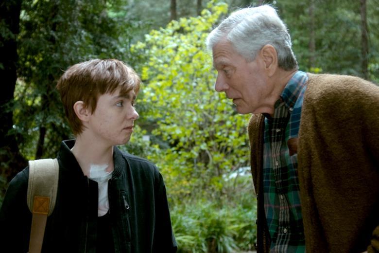 Finn Taylor’s ‘Avenue of the Giants’ wraps | News | Screen